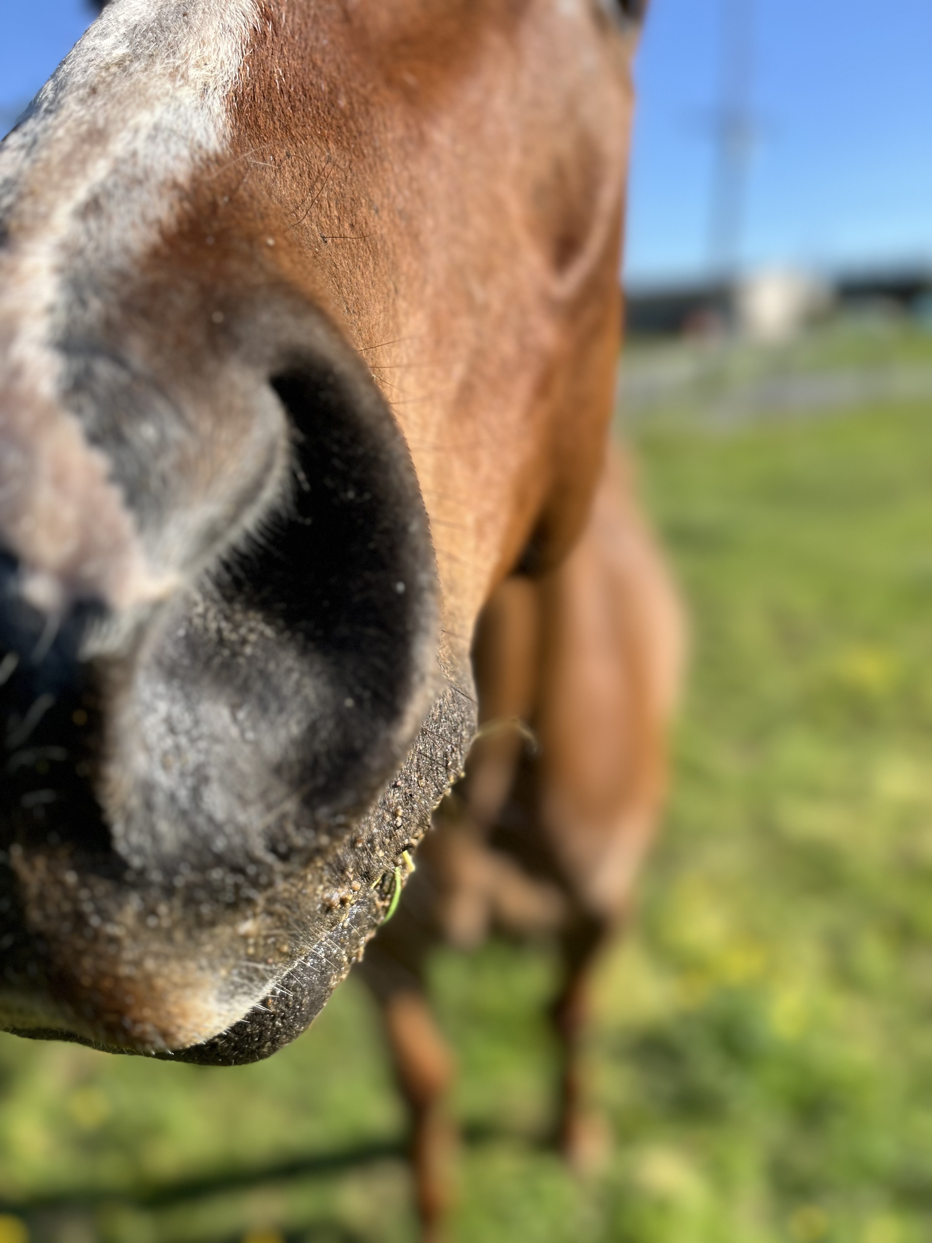 About – Glen Aire Farm